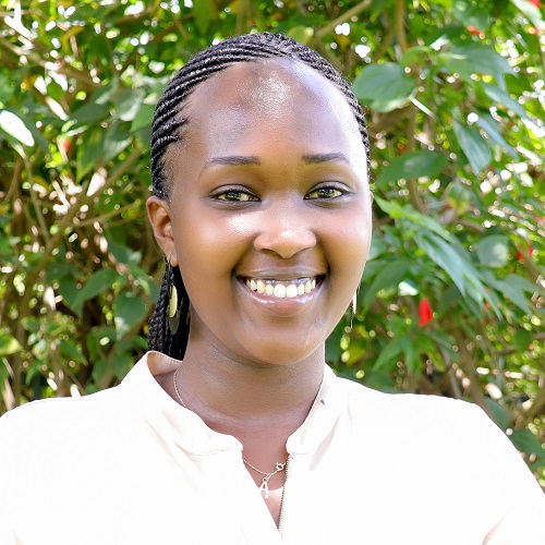 About us - Three Mountains